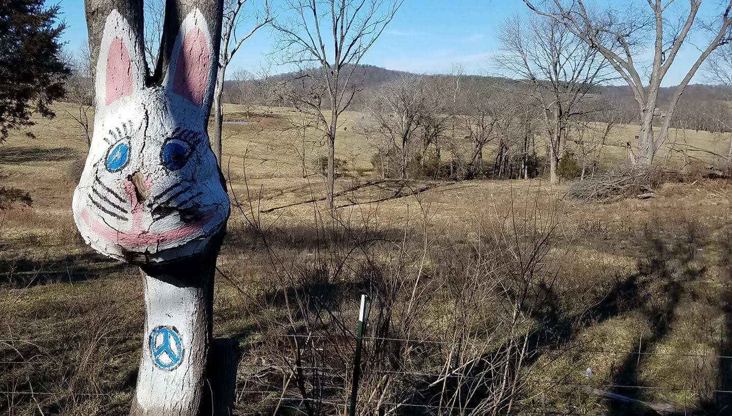 Recent Publications – Epiphany Ferrell