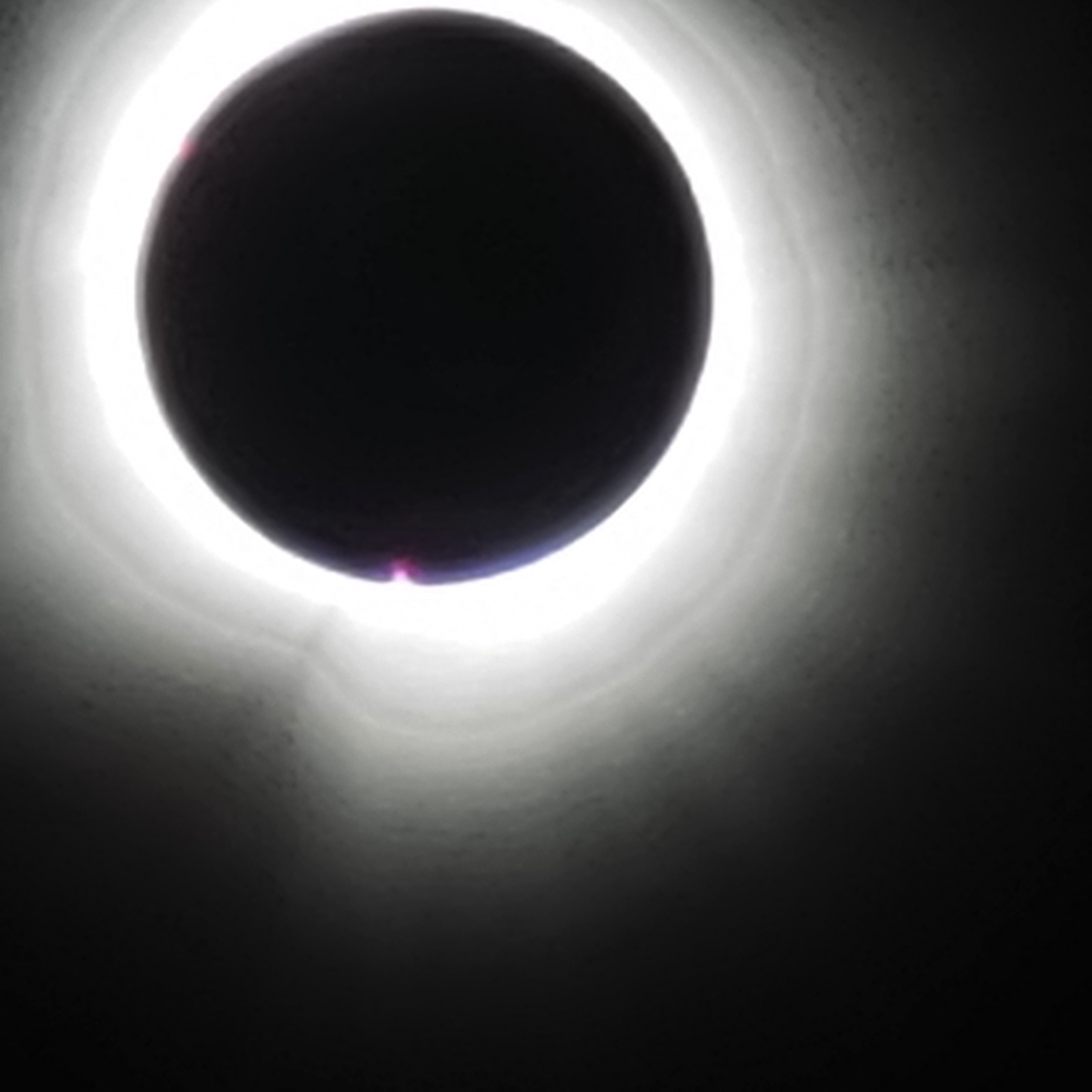 Once in a Lifetime. Again. – Epiphany Ferrell